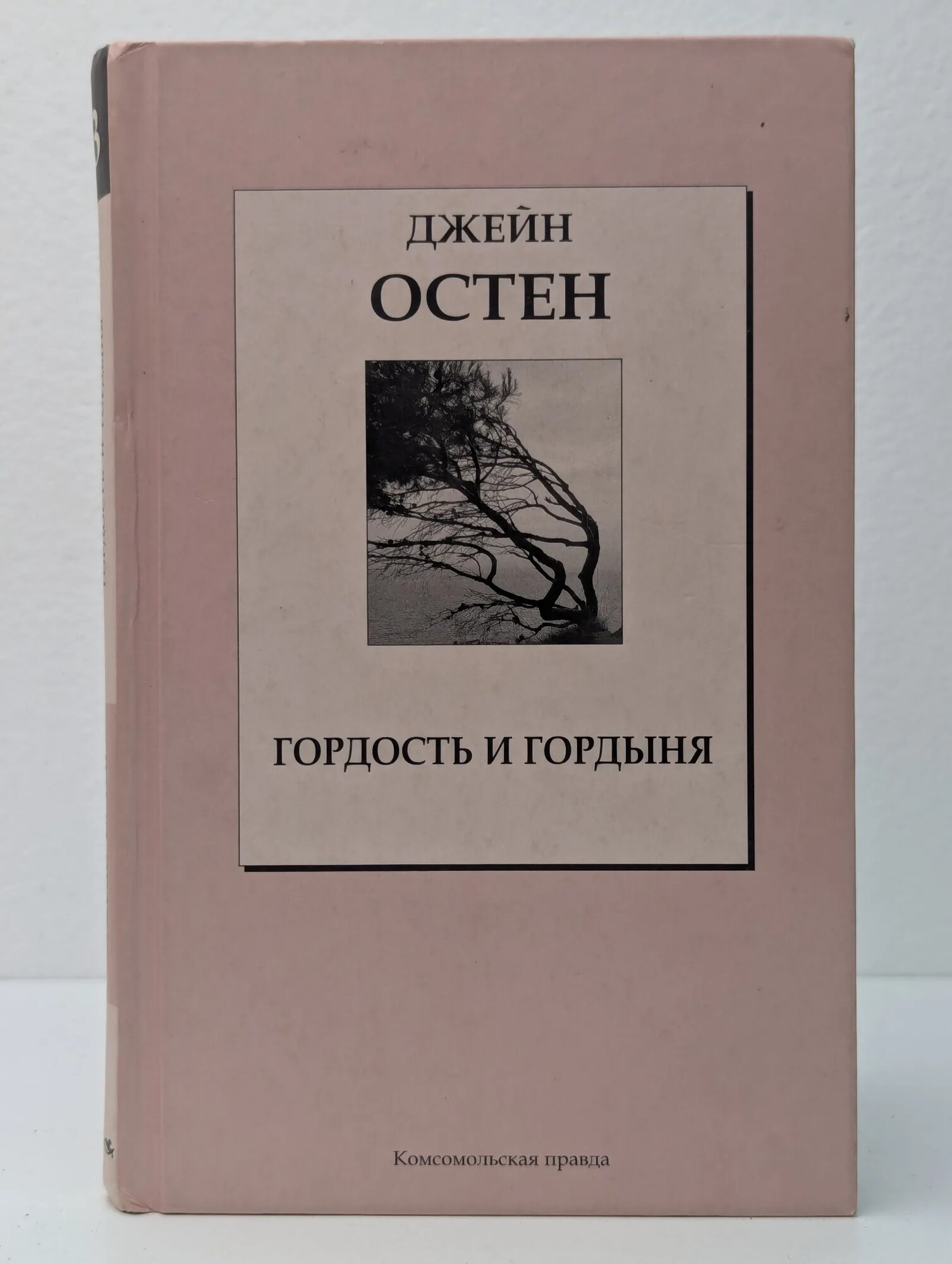 Гордость и гордыня Остен Джейн 2007