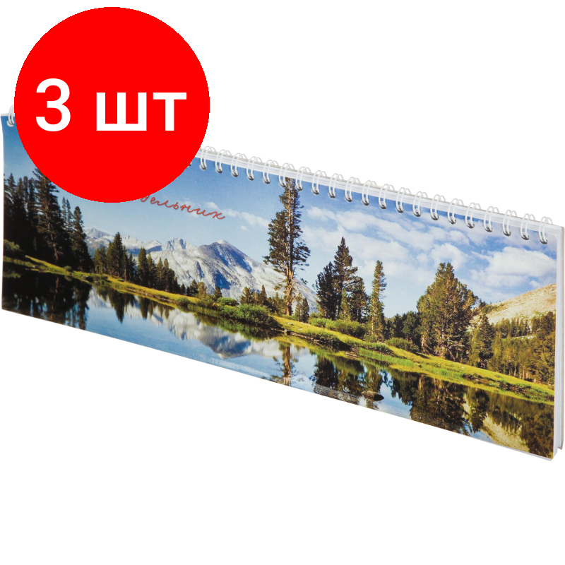 Комплект 3 штук, Планинг недатированный 295х100 Attache Economy, 56 л. Пт 4603721416431