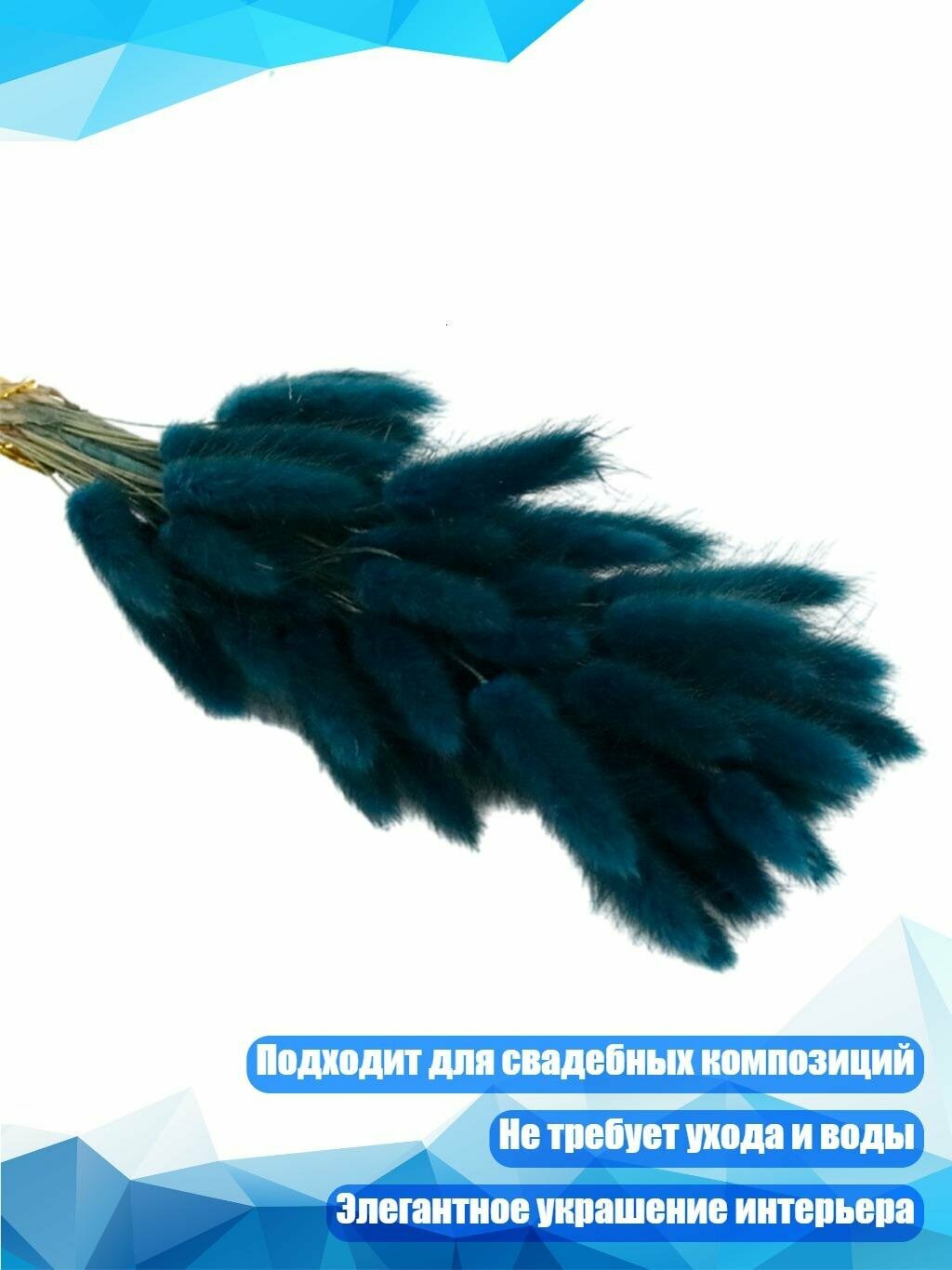 55pcs Natural Dry Pampasgrass 17,7 -дюймовый сушеные кролики цветок хвоста для домашних свадебных композиций, - сплошной цвет 13