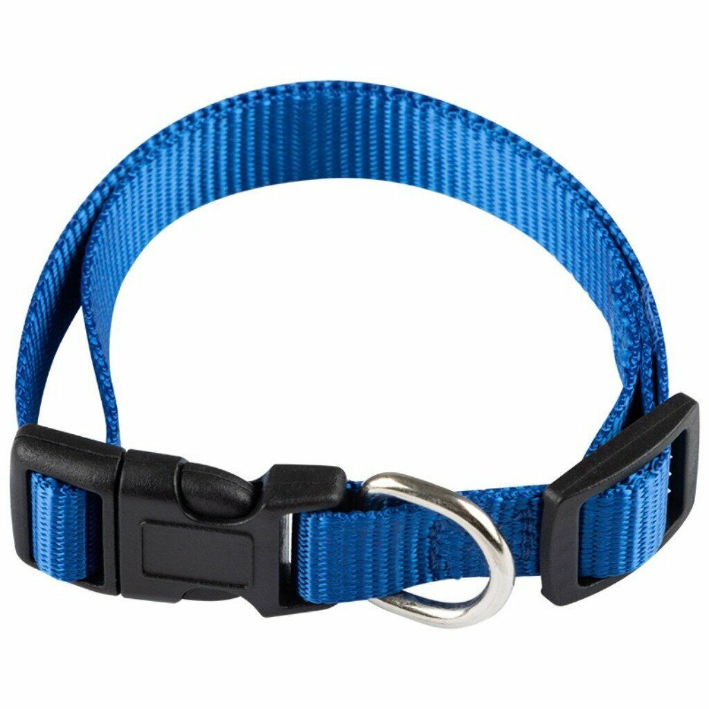 Ошейник для собак и кошек Рыжий кот, размер M, 33-40 см, синий, нейлоновый с надежной застежкой фастекс и кольцом