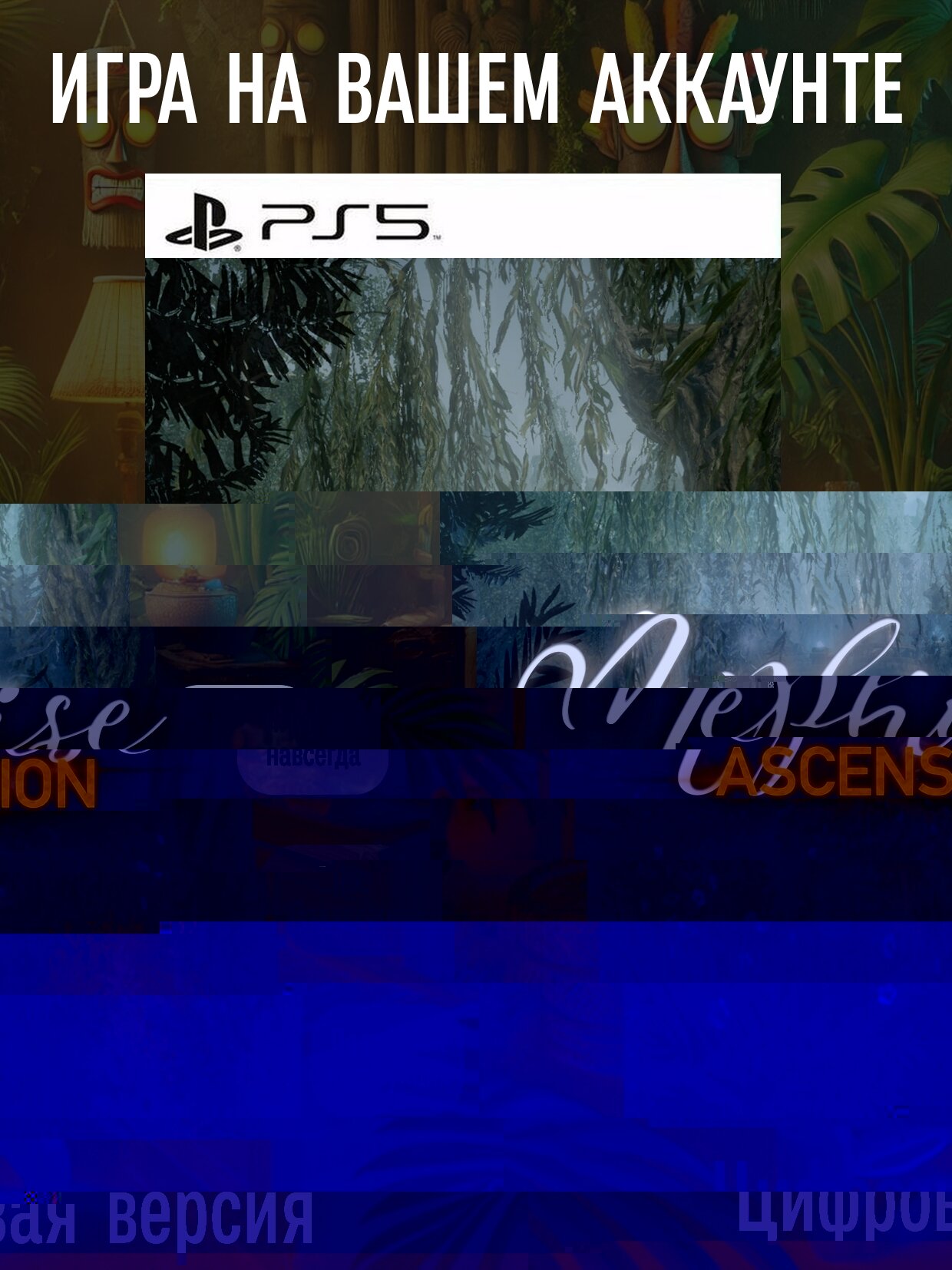 Nephise: Ascension | PlayStation | английский язык | Приключения