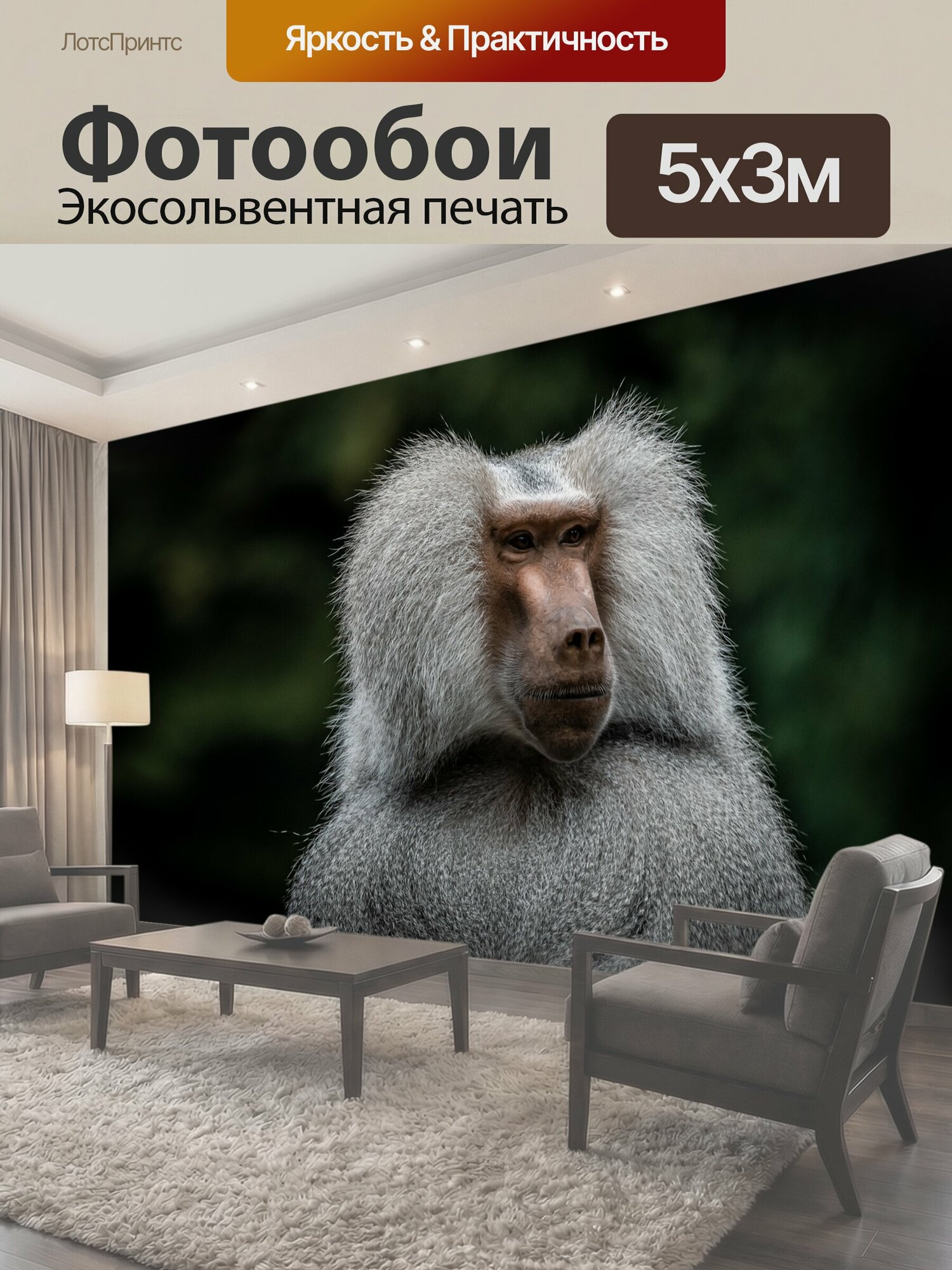 Фотообои "Обезьяны, бабуин, зоопарк" 500x300 см. экосольвентная печать