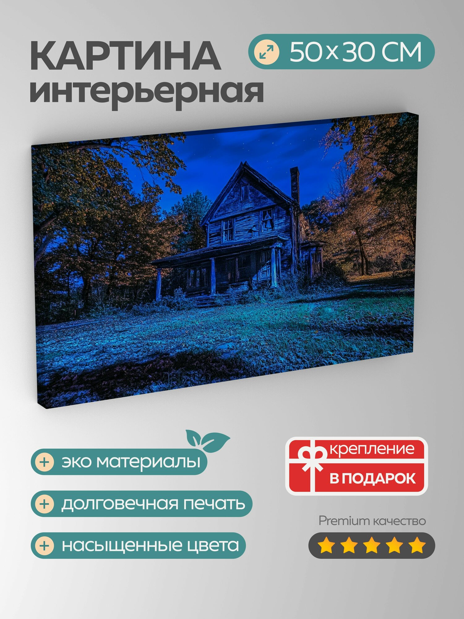 Картина на холсте интерьерная 50х30 см, дом, привидения, ночь, Хэллоуин, лунный свет, тени, двор, таинственность, Canon