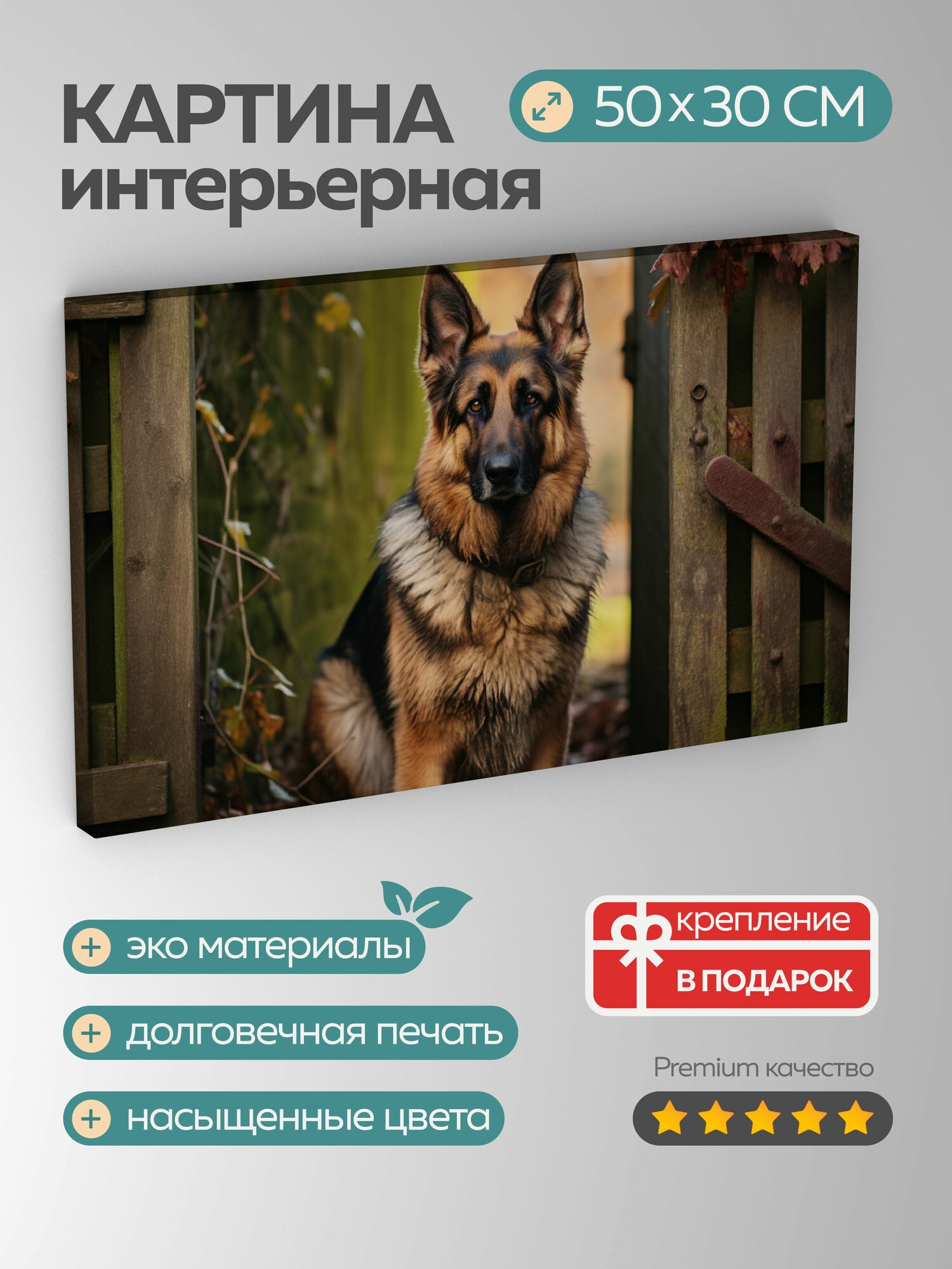 Картина на холсте интерьерная 50х30 см, фотография, немецкая овчарка, величественная, высокая, гордая, горизонт, 2.8L