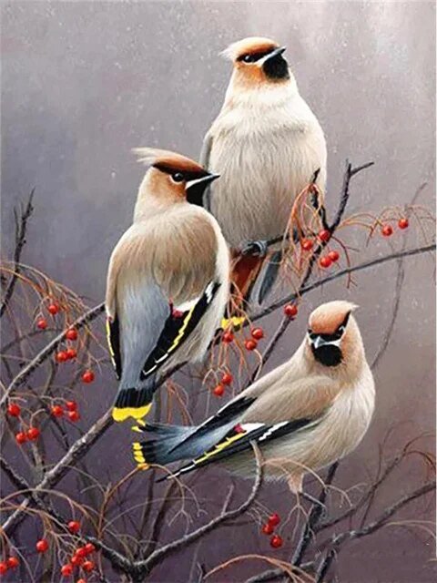 Сад 5D Алмазная картина Набор Ночной вид Алмазная вышивка Полная Алмазная мозаика Художественная картина DIY Декоративные настенные наклейки