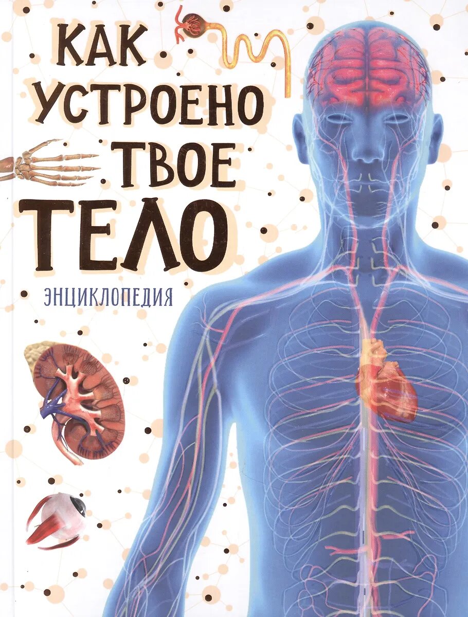 Как устроено твое тело Энциклопедия Клюшник ЛВ 6+