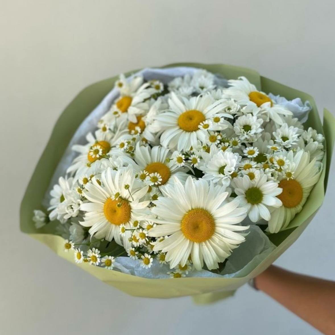 Летний букет ромашек. Белая ромашка садовая, танацетум, сантини