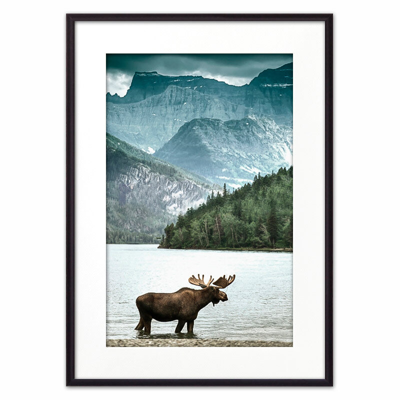 Постер в рамке Лось на реке, 30х40 см