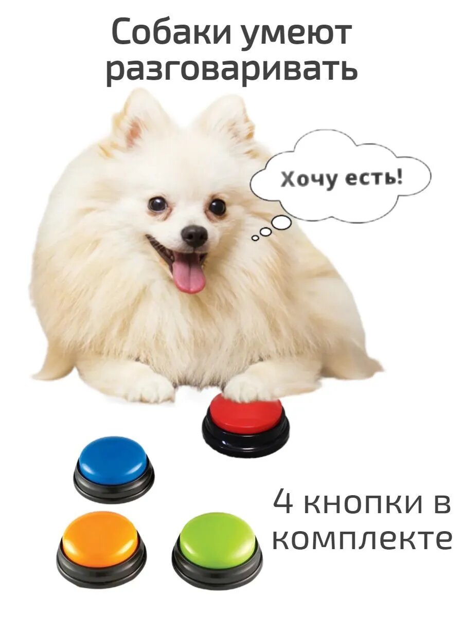 Кнопка для собак жрать хочу, 4 шт комплект, кушать хочу, для дрессировки животных с записью голоса, звуковая кнопка, кликер для собак , оранжевая