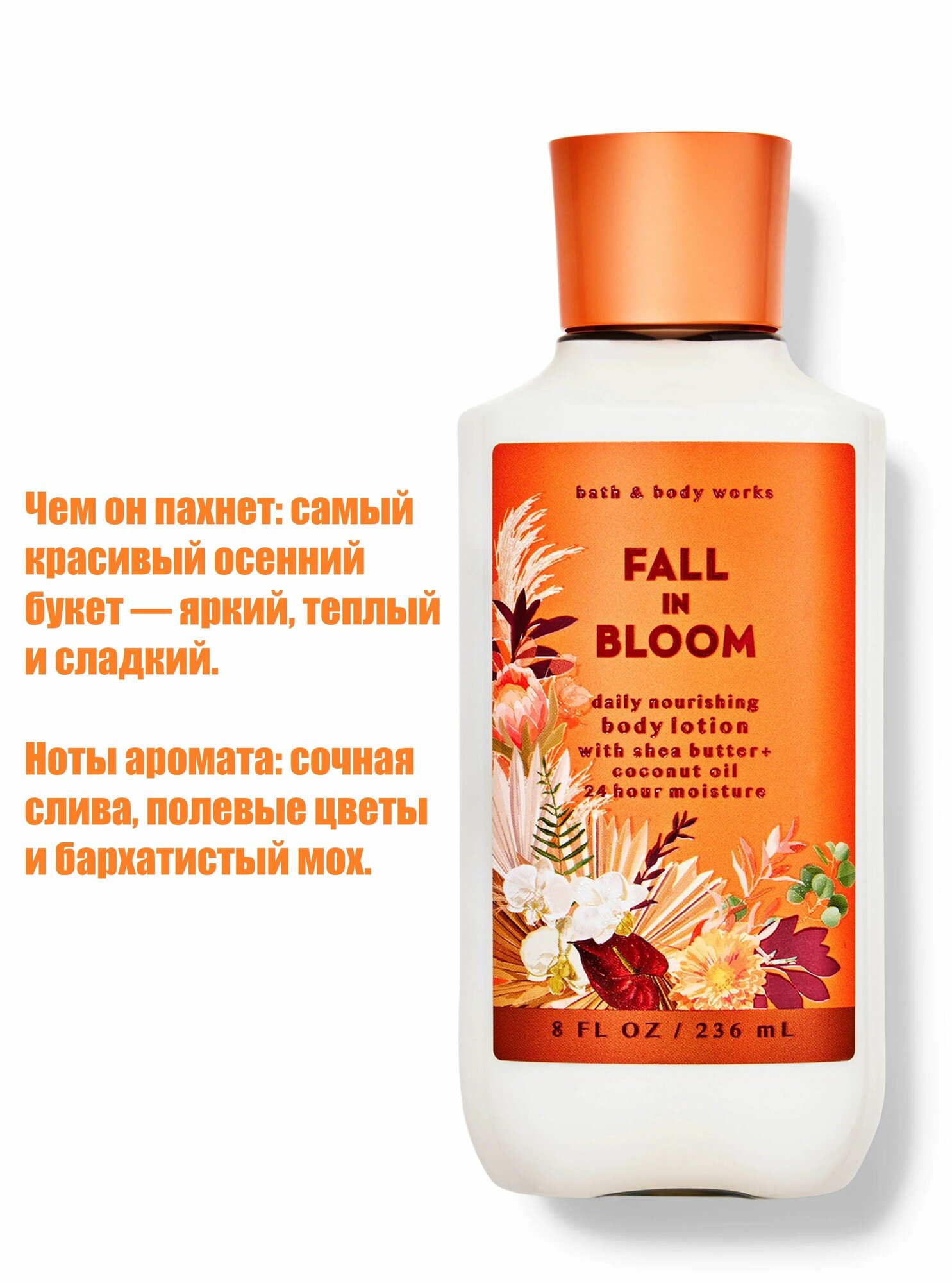 Bath and Body Works лосьон для тела Fall in Bloom (236 ml) 2025