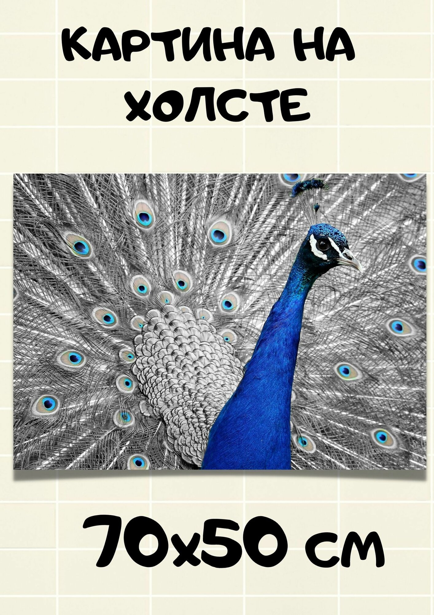 Картина с птицами "Синий павлин" 70х50 см холст