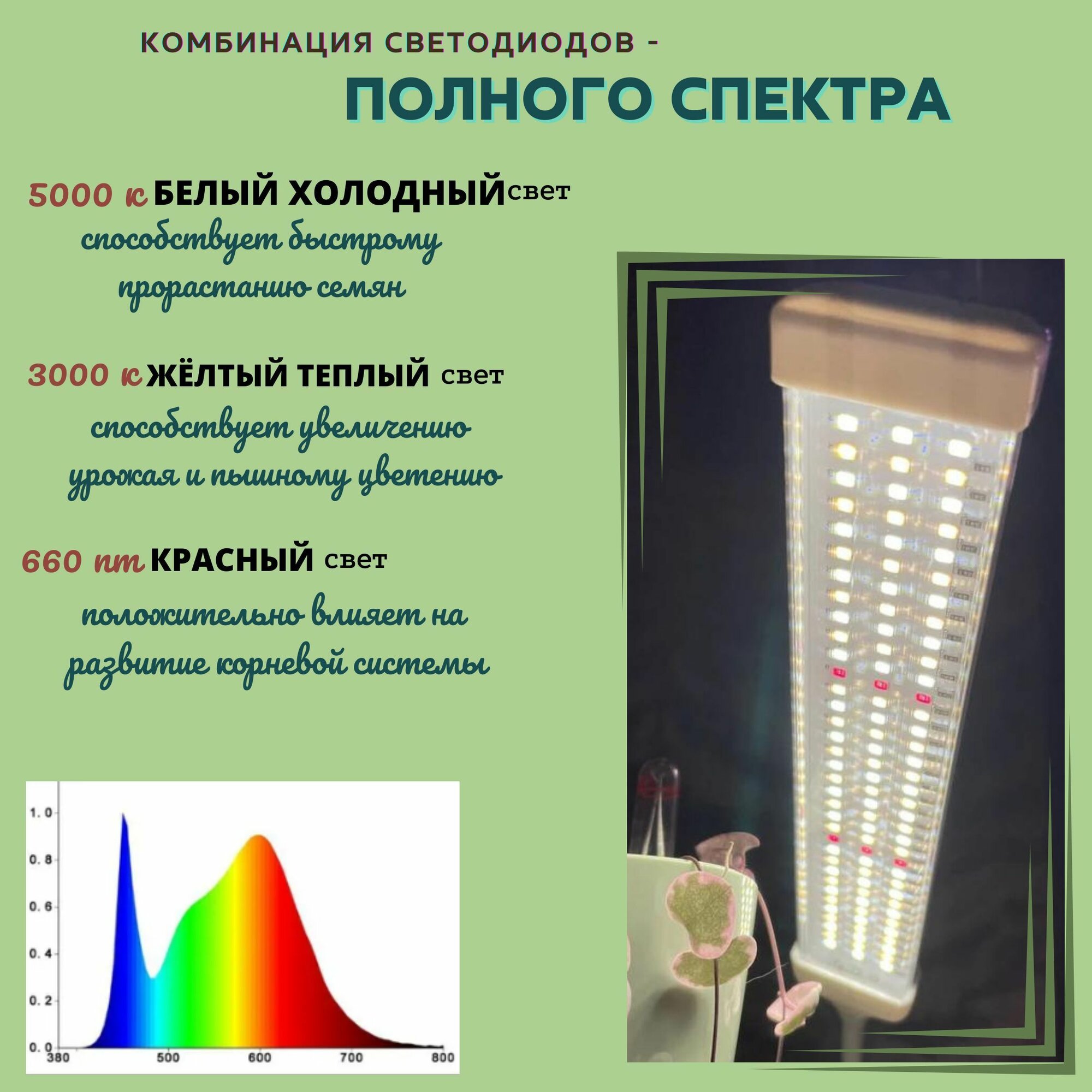 Фитосветильник — фото 1
