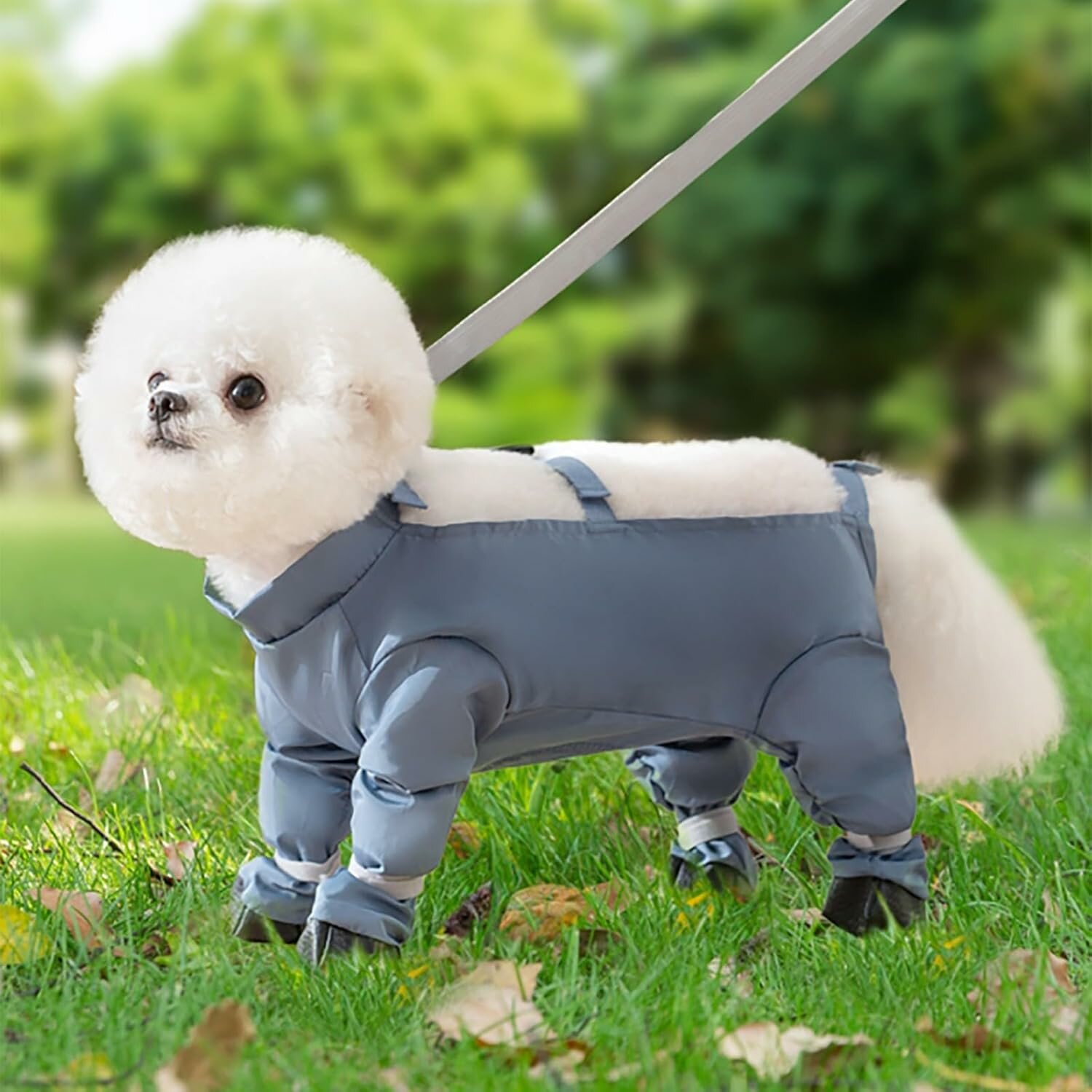 Обувь для собак