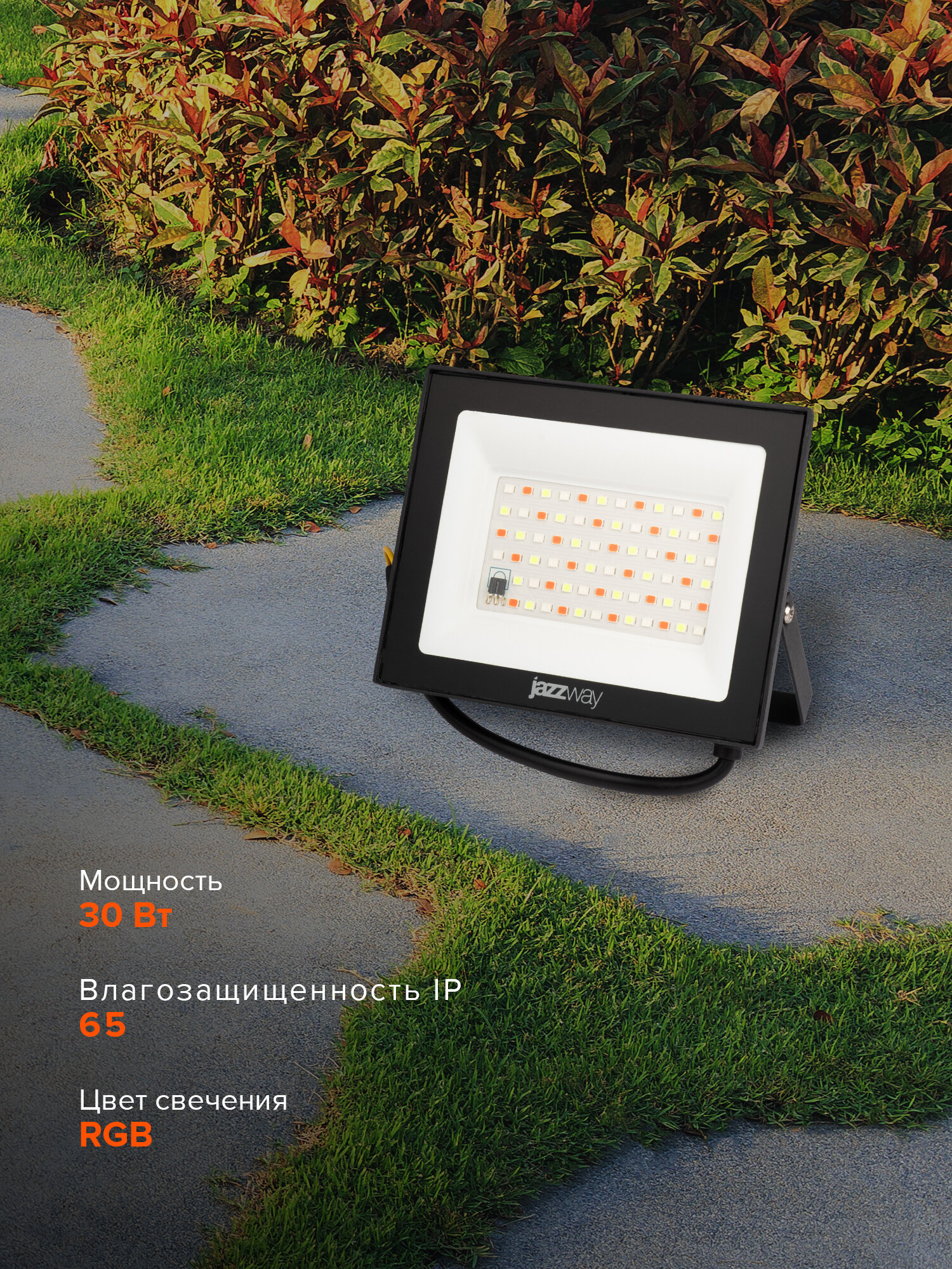 Прожектор светодиодный уличный Jazzway PFL-30W RGB-RC BL IP65