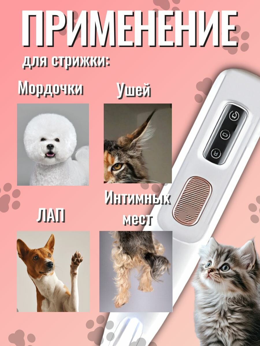 Триммер для домашних животных лап, ушей и труднодоступных мест у животных, felix_electronix