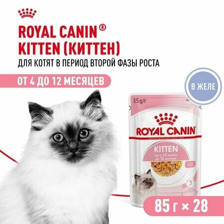 ROYAL CANIN KITTEN набор 5 упаковок 28 штук по 85 г влажный корм мелкие кусочки в желе для котят в возрасте до 12 месяцев