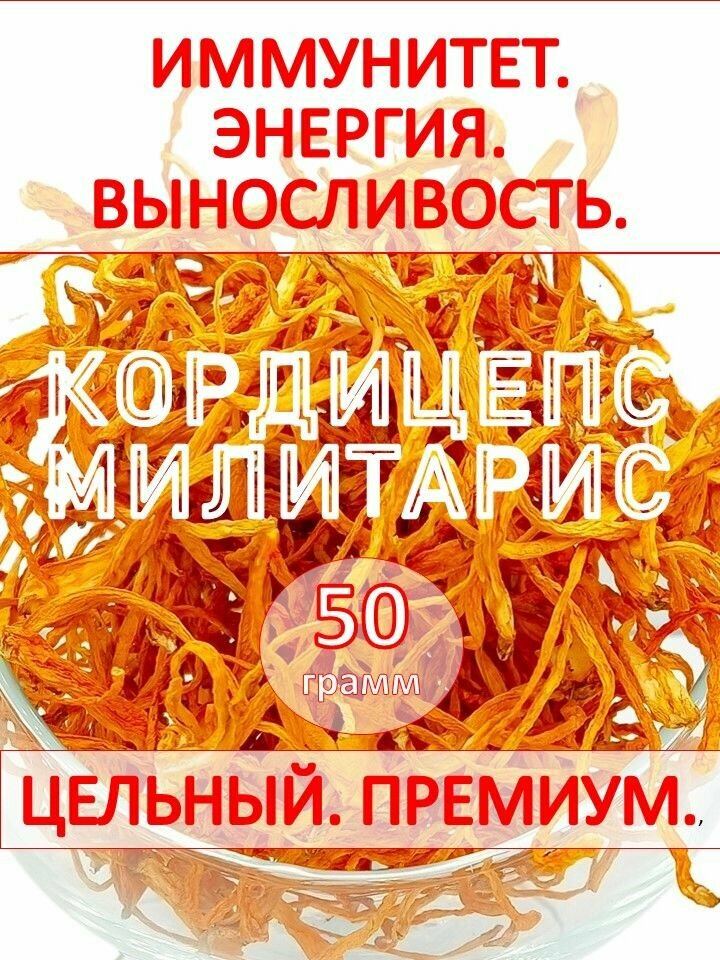 Кордицепс военный, 50 г, цельный, высушенный