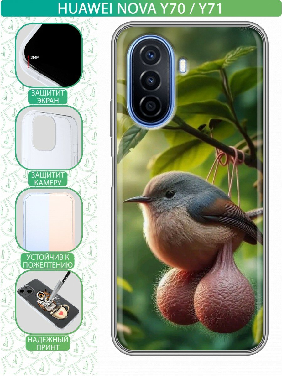 Чехол для Huawei nova Y70, Huawei nova Y71 с принтом смешная птица с яйцами (Хуавей Нова У70, Хуавей Нова У71)