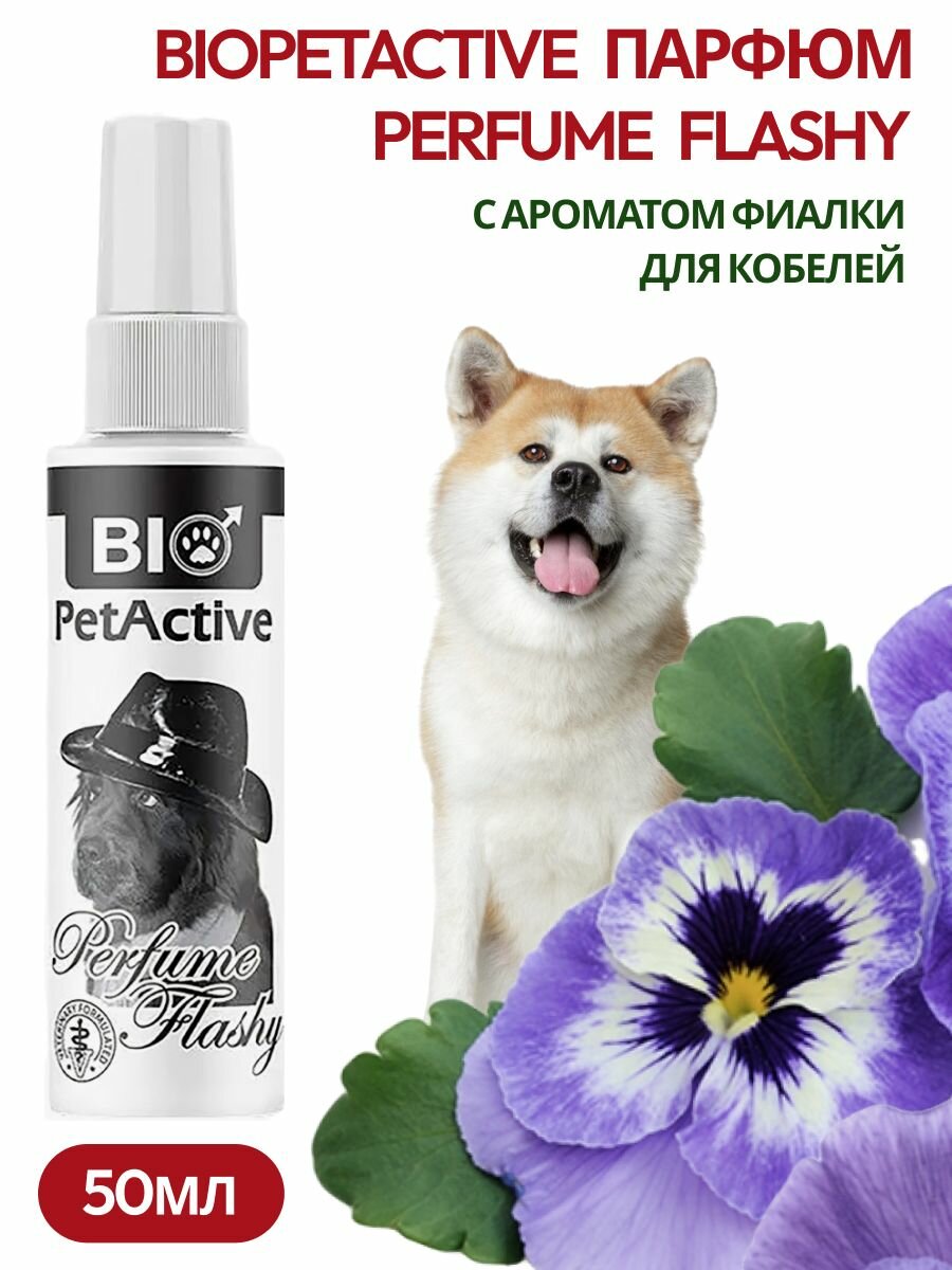 BioPetActive Парфюм Perfume Flashy с ароматом Фиалки для кобелей 50мл