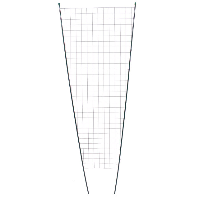 Шпалера Трапеция 2м