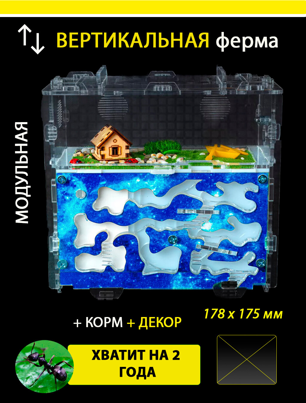 Муравьиная ферма (формикарий) вертикальная AntFarmsNsk