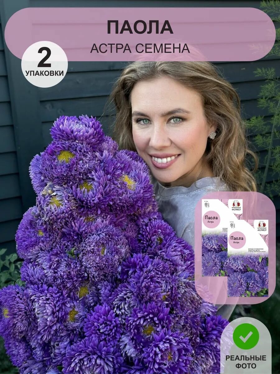 Семена Нетипичный фермер Астра "Паола", однолетние, махровые, 2 упаковки