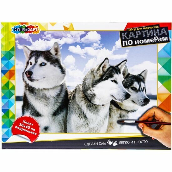 Картина по номерам Мульти Арт лайки, 30х40 см, CANV30X40-MULTI47