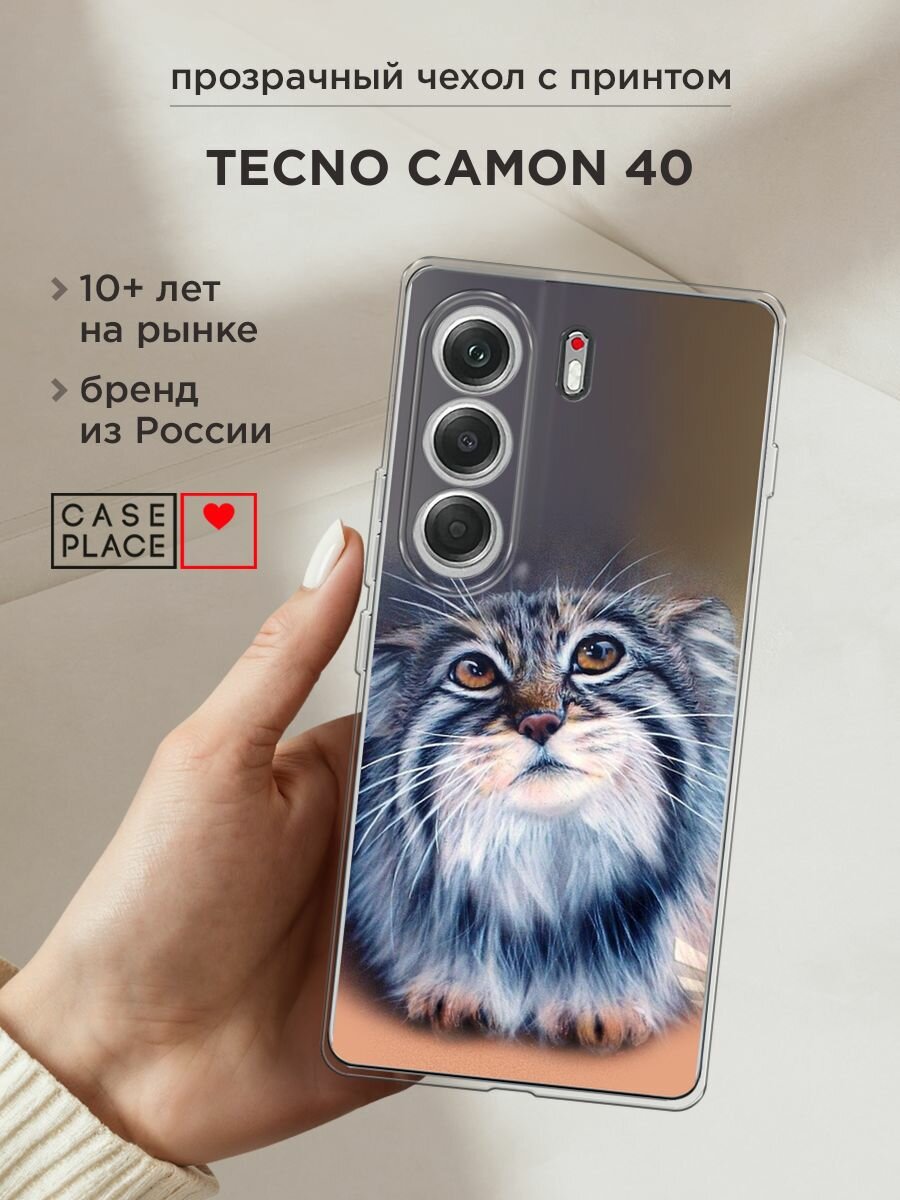 Чехол на Tecno Camon 40 / Текно Камон 40 с принтом "Кот манул 2"