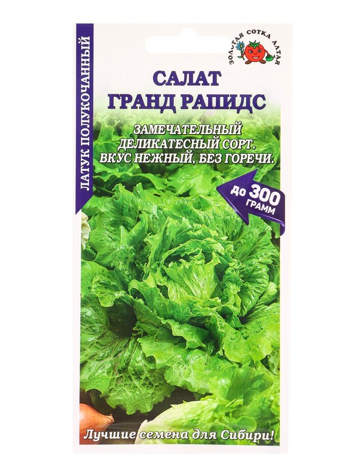 Семена Салат «Гранд Рапидс», 0.5 г, «Золотая Сотка Алтая»