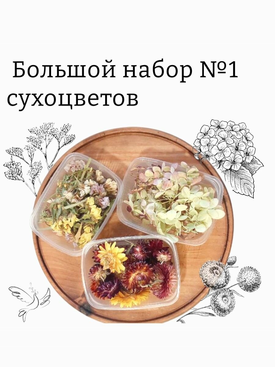 Большой "Летний" набор сухоцветов для творчества и эпоксидной смолы