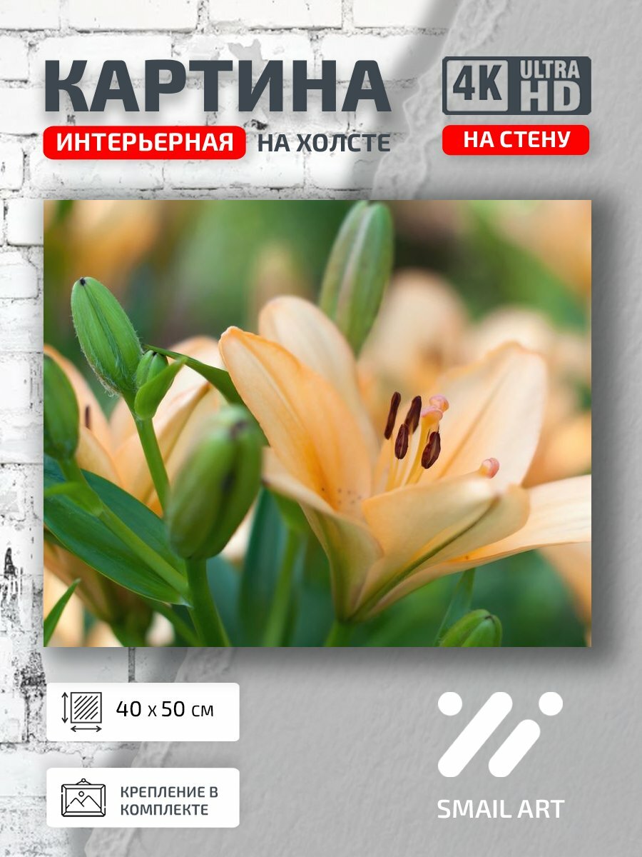 Картина на холсте интерьерная 40 на 50 на стену Лилии Macro для кабинета макро интерьер