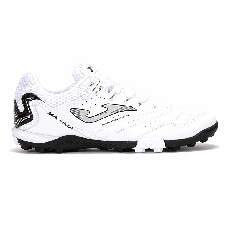 Сороконожки