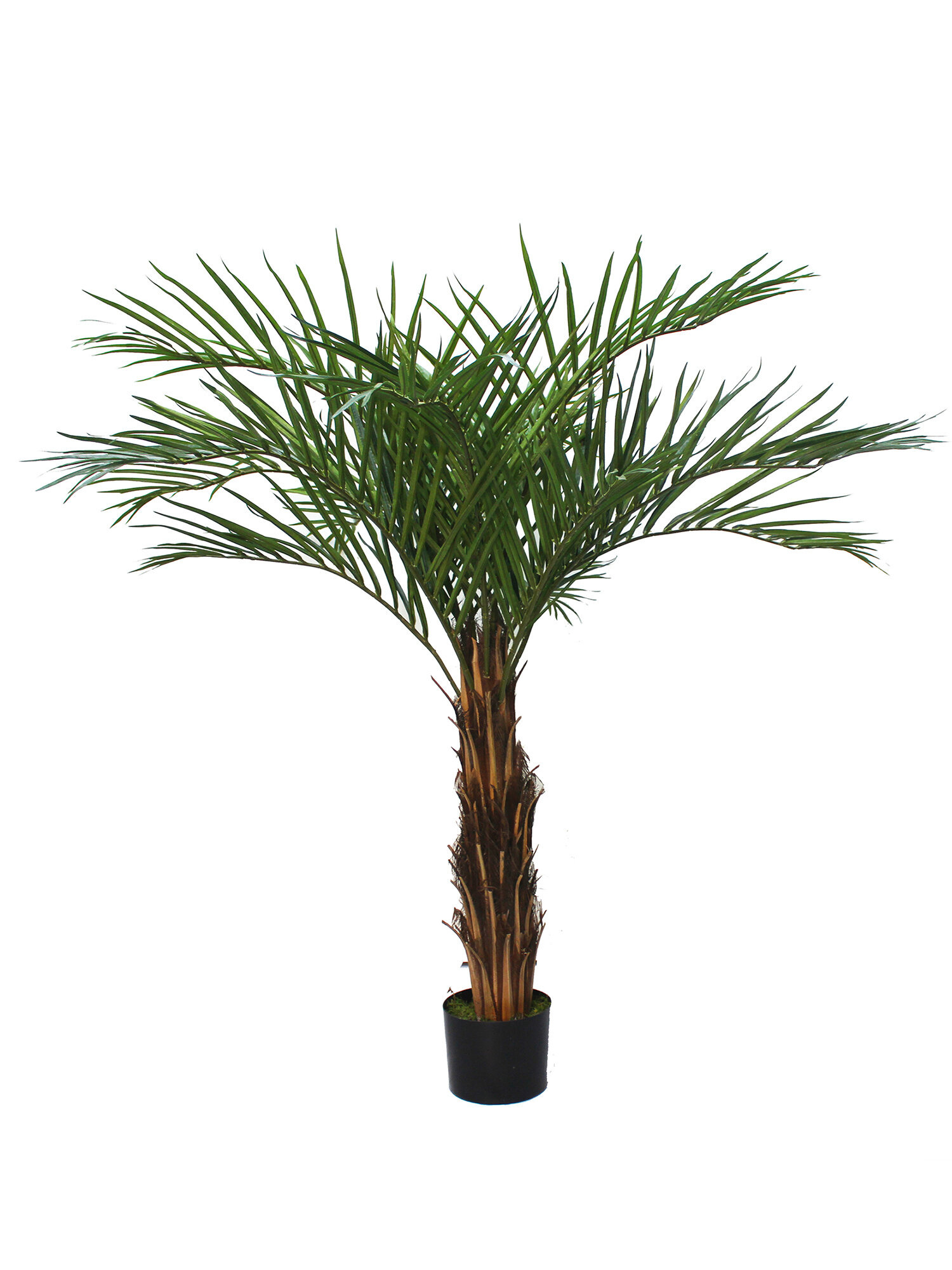 Искусственное дерево цветок Пальма Феникс Серафим мидл 120см в техническом кашпо