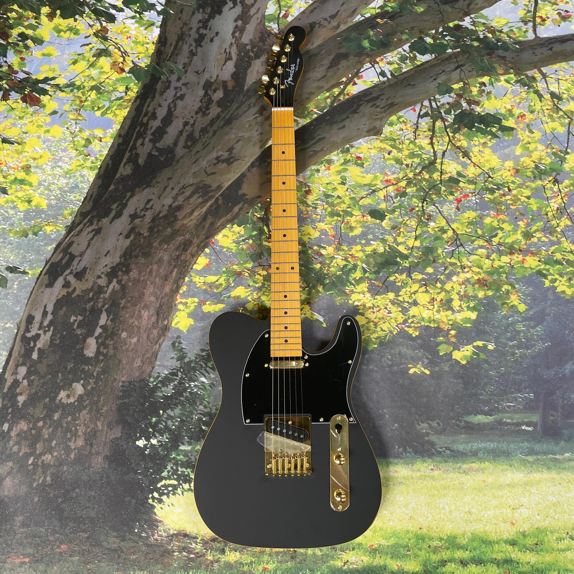 Электрогитара Электрогитара TELE персонализированный 6-струнная