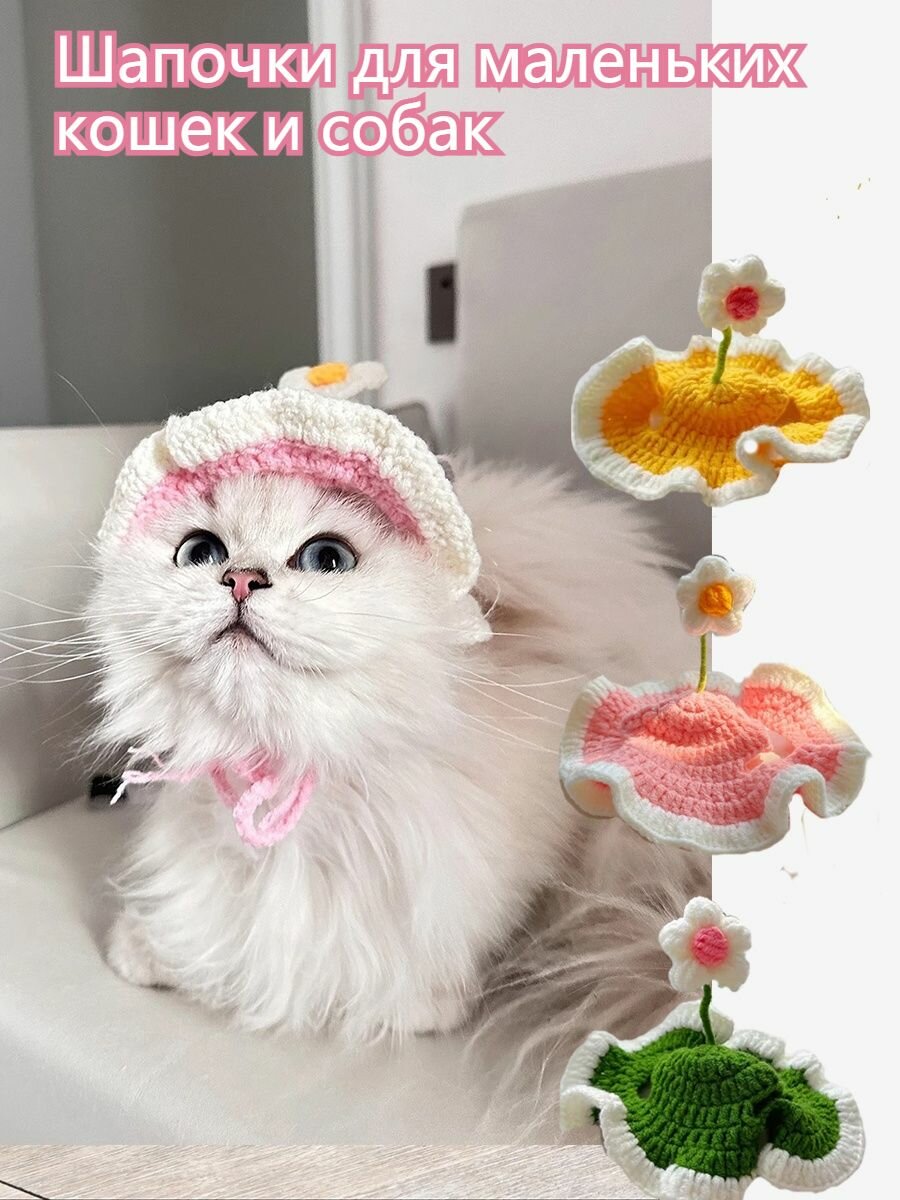 Вязаные шапочки для кошек и собак