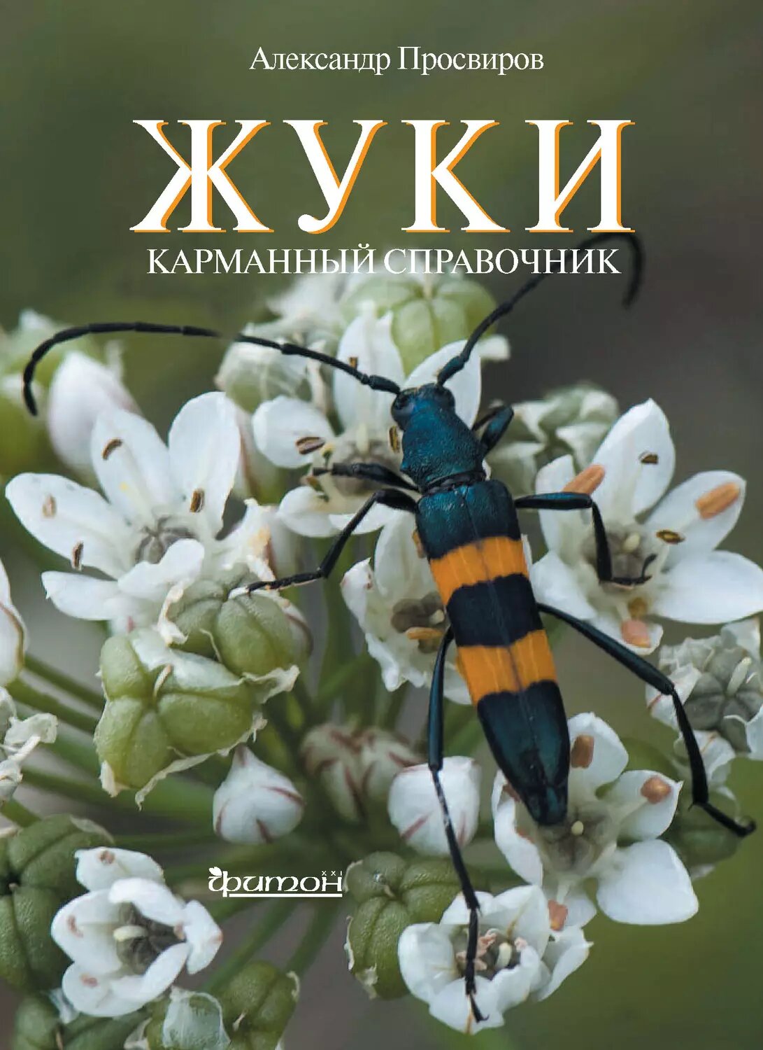 Жуки [Цифровая книга]