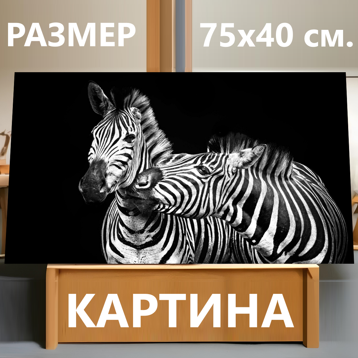 Картина на холсте "Зебры, полосы, черное и белое" на подрамнике 75х40 см. для интерьера