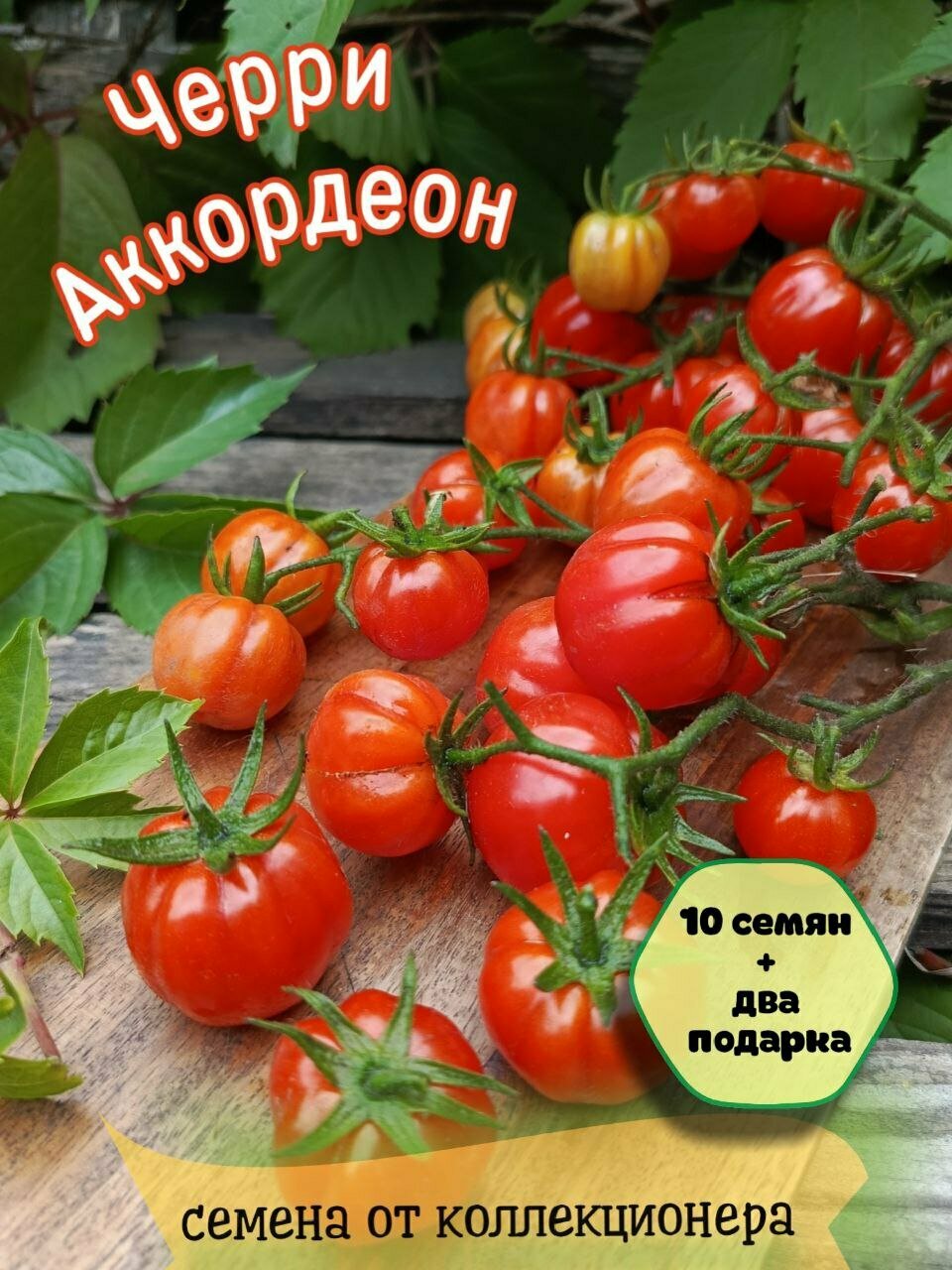 "Черри Аккордеон", семена томатов, коллекционный сорт