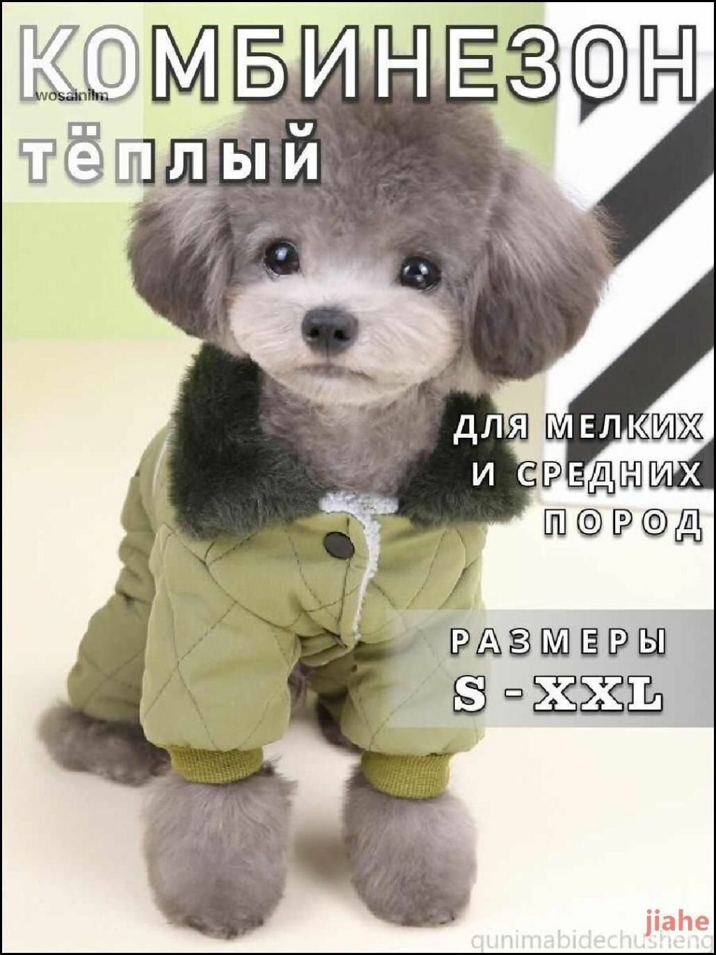 Эксклюзивный зоогамбургер