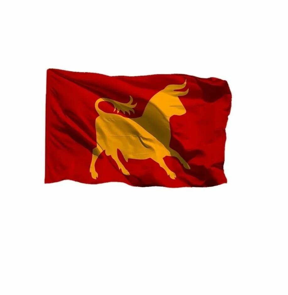 Флаг Легиона Цезаря из Fallout Фоллаут 70х105 см на сетке для уличного флагштока