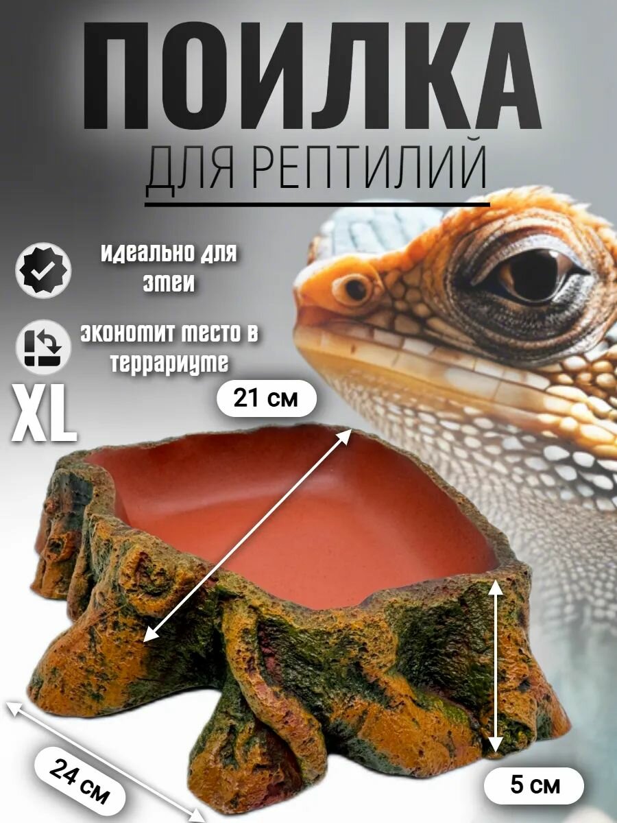 Кормушка-поилка для рептилий