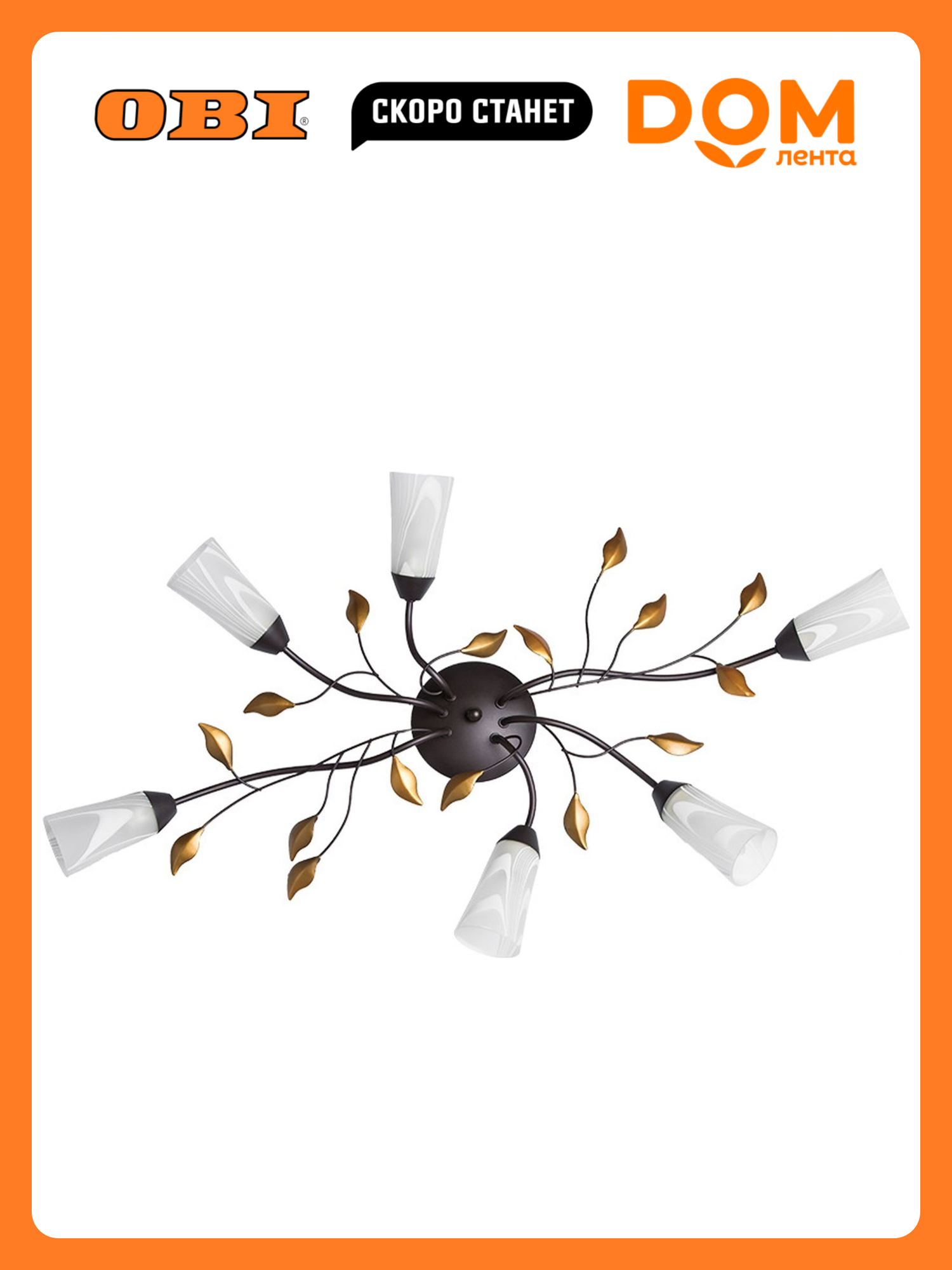 Потолочная люстра MW-Light Восторг 242015206