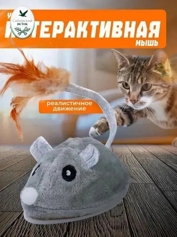 Интерактивная игрушка-мышь для кошек с автозаводом