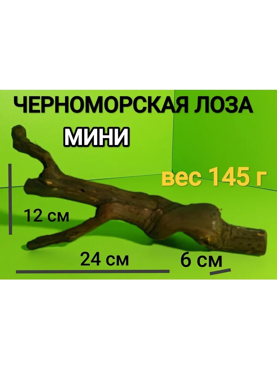 Черноморская виноградная лоза мини для аквариума, террариума
