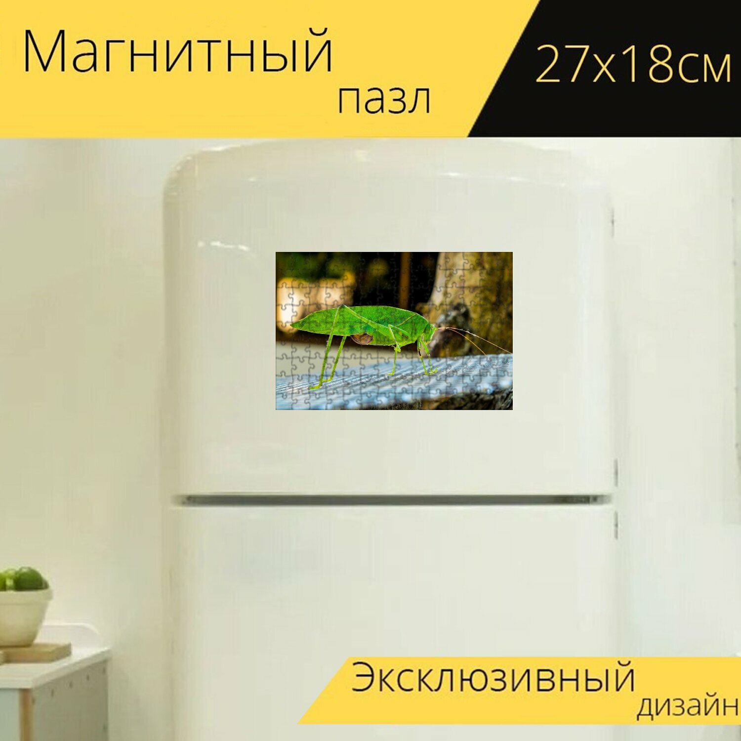Магнитный пазл "Кузнечик, насекомое, закрывать" на холодильник 27 x 18 см.
