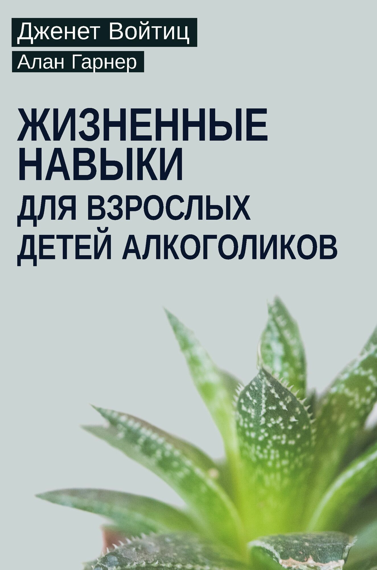 Жизненные навыки для взрослых детей алкоголиков