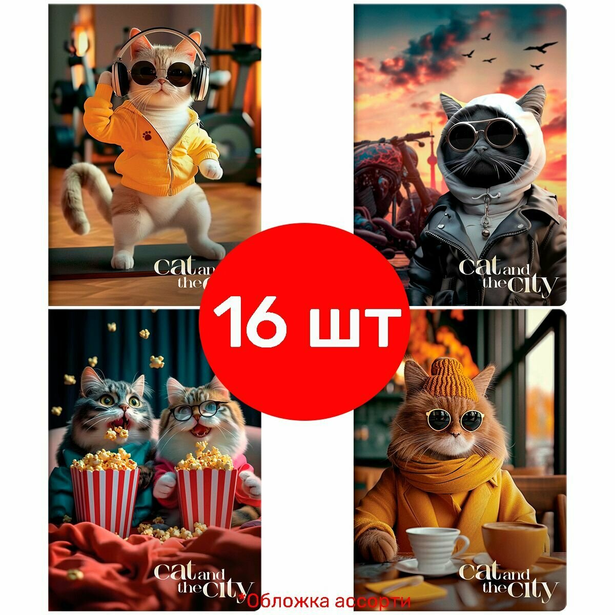 Тетрадь MESHU "Коты в городе", 16 штук, 40 л, A5, клетка, твердая обложка