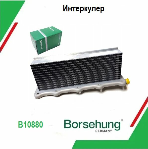 B10880 Borsehung Интеркулер для VW GOLF VII (2012>)