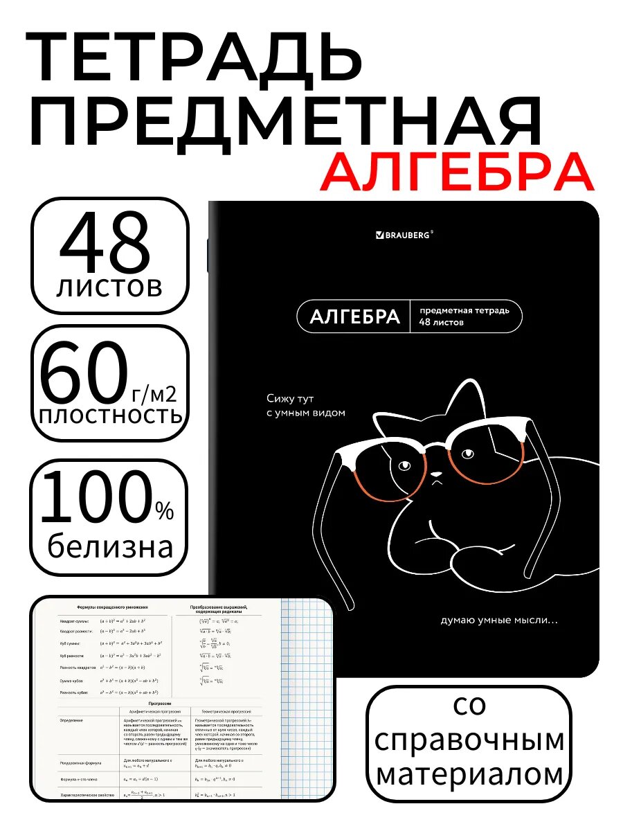 Тетрадь предметная BRAUBERG "Алгебра", формат A5, клетка, 48 листов