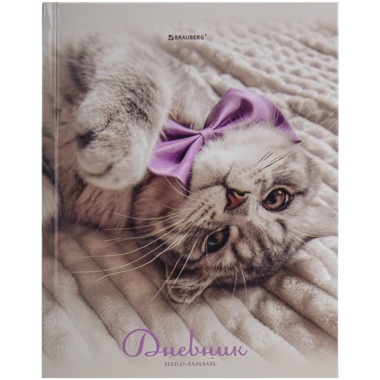 Дневник Brauberg 5-11 класс 48 л, твердый, глянцевая ламинация, с подсказом, "Котик", 107188